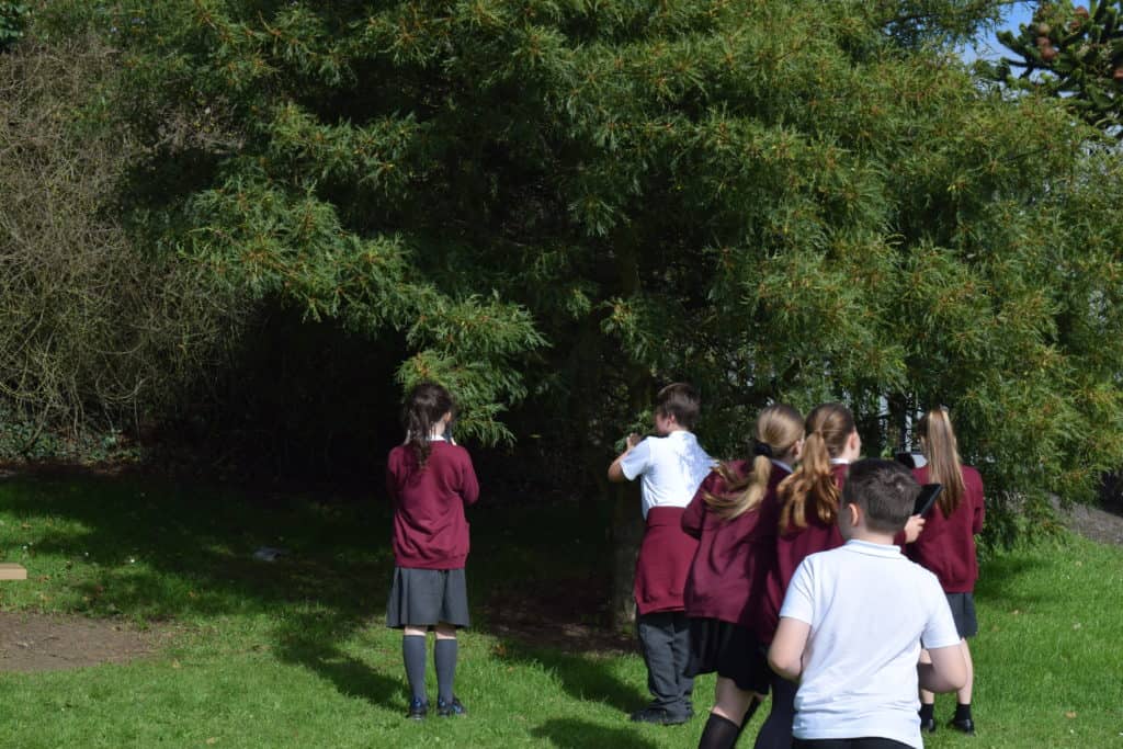 The Lost Words – St. Cuthbert's Catholic Primary School