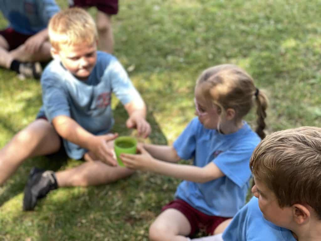 House Points Winners – St. Cuthbert's Catholic Primary School