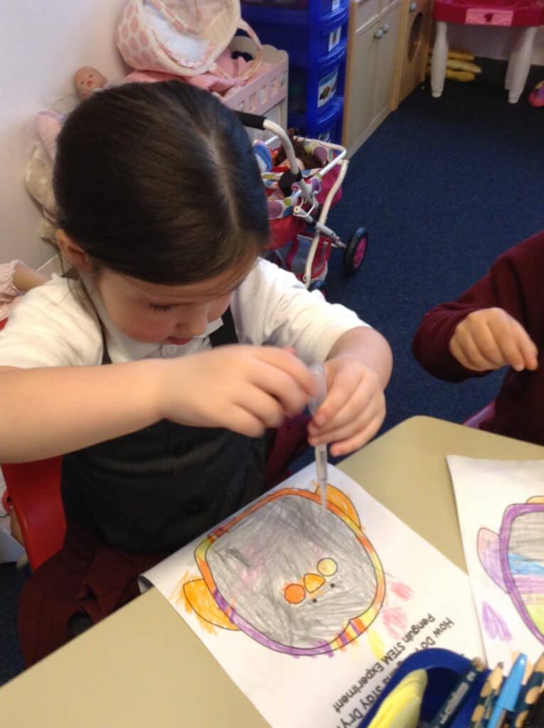 How do penguins feathers work? – St. Cuthbert's Catholic Primary School